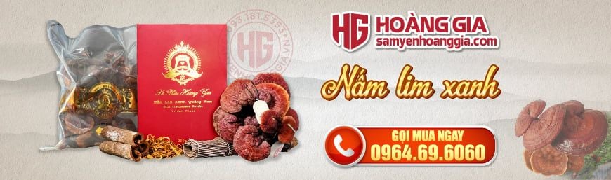 Nấm Lim Xanh Rừng Quảng Nam Chính Gốc - Lê Phúc Hoàng Gia - Bảng Giá ...