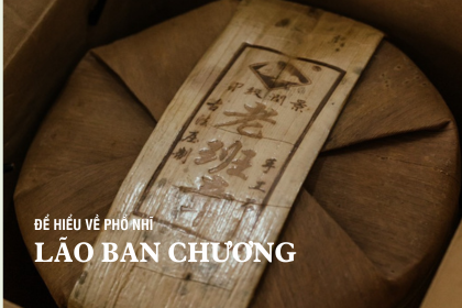 Để hiểu Lão Ban Chương – Công phu Trà