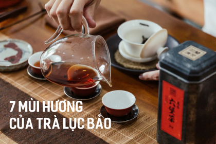 7 nhóm mùi hương trà Lục Bảo – Công phu Trà