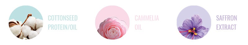 Color Protector – JAAS Vietnam