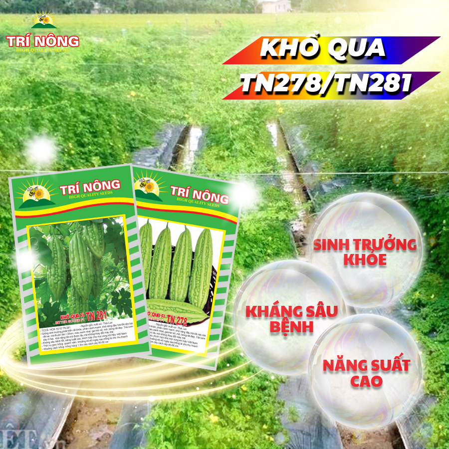 KỸ THUẬT TRỒNG GIỐNG MƯỚP ĐẮNG (KHỔ QUA) – TRINONG Seeds