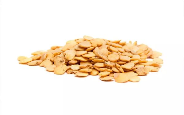 Hướng dẫn cách trồng cà tím ngay tại nhà đơn giản, hiệu quả dành cho ...