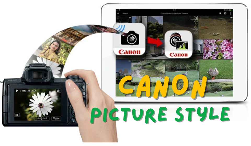 Canon Picture Styles Là Gì? Hướng Dẫn Cách Dùng & Các Preset Màu ...