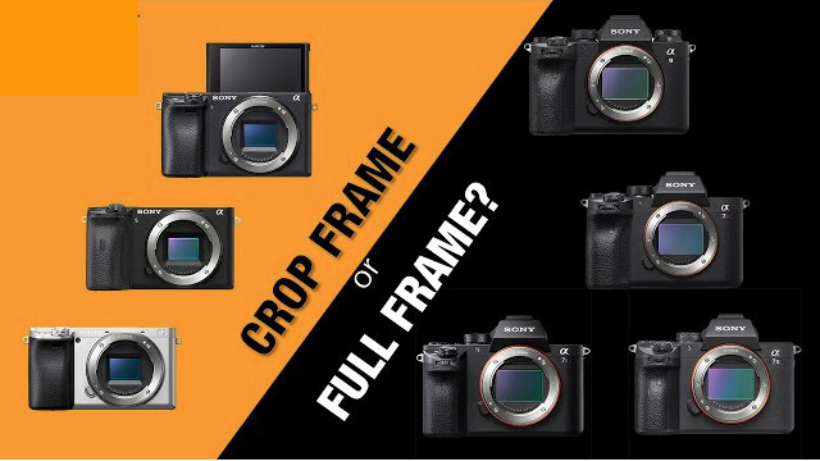 So Sánh Máy Ảnh Full Frame Và Crop: Ưu Nhược Điểm & Cách Chọn Đúng ...