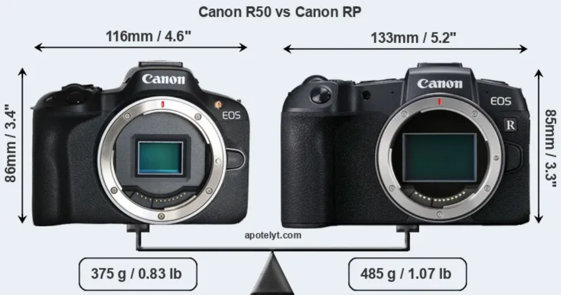 So sánh Canon R50 và Canon RP – Lựa chọn nào dành cho bạn? - Thanh Mai ...