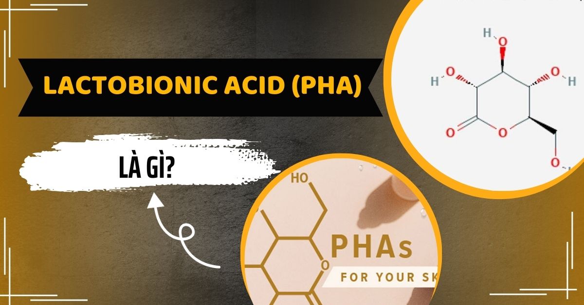 Lactobionic Acid (PHA) Có Tác Dụng Thế Nào Với Làn Da? – Fanmen
