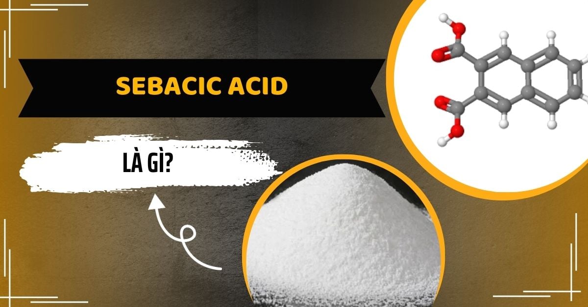 Sebacic Acid Là Gì? Tác Dung Của Thành Phần Trong Mỹ Phẩm – Fanmen