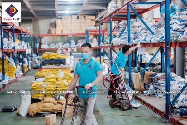 Ốc vít là gì? Các loại ốc vít thông dụng nhất – thinhphat