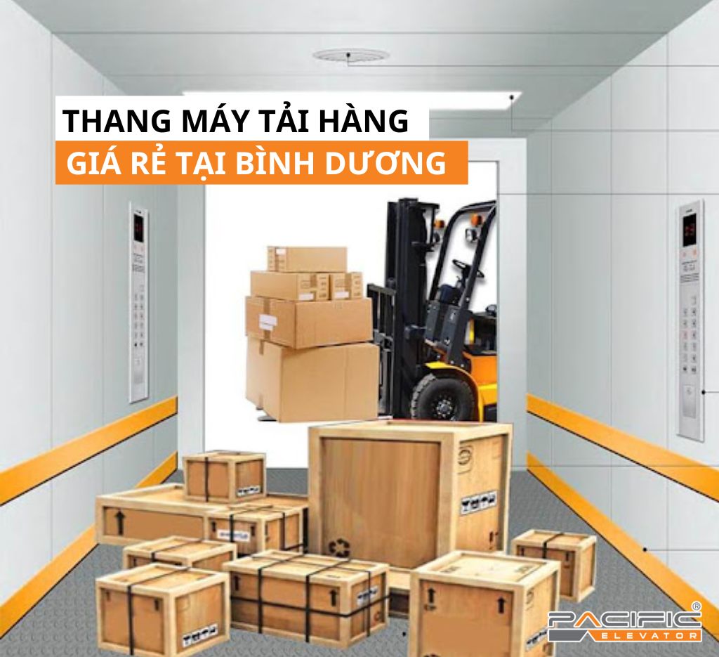 Lắp đặt thang máy tải hàng giá rẻ tại Bình Dương – Thang máy Pacific