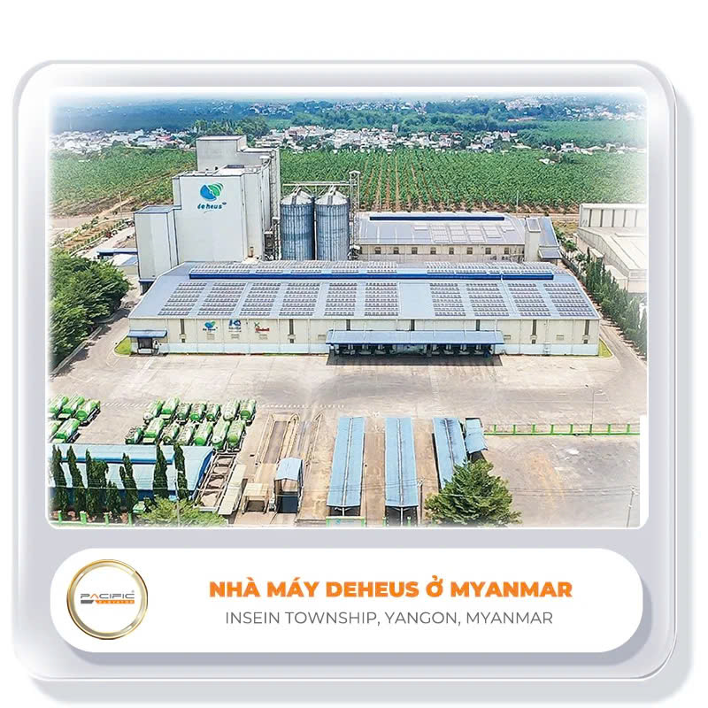 Thang Máy Pacific với các dự án quốc tế tiêu biểu – Thang máy Pacific