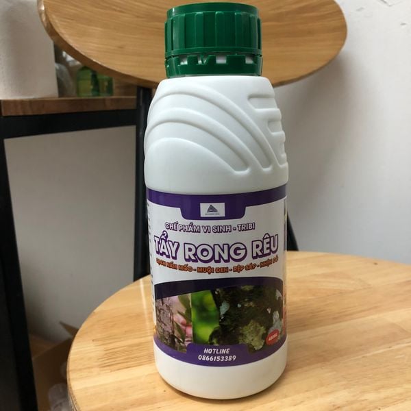 Cách tẩy rong rêu trên cây Sầu Riêng mới nhất 2023 ! – Nông Nghiệp An Việt