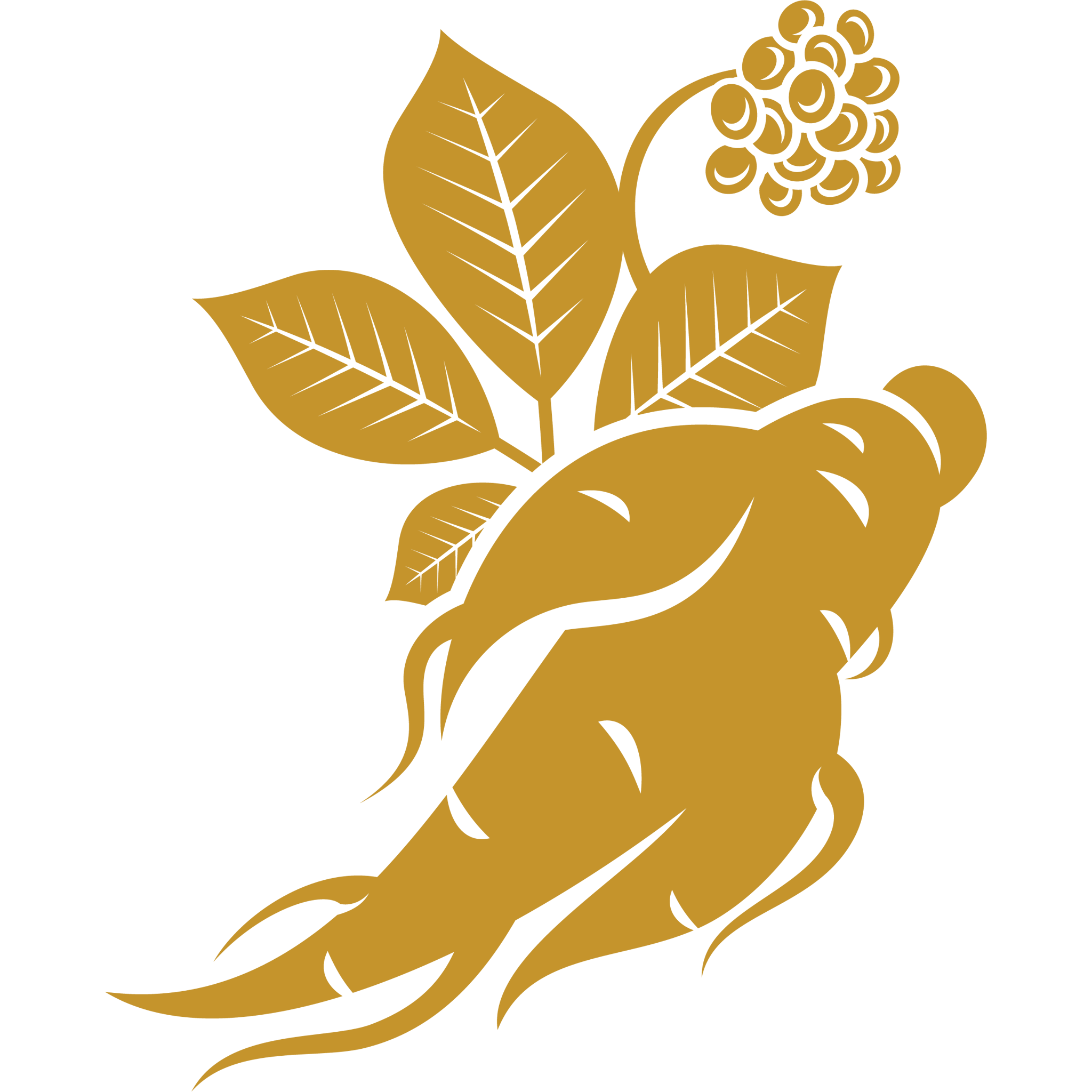 Đạt Food - Cửa hàng chính hãng