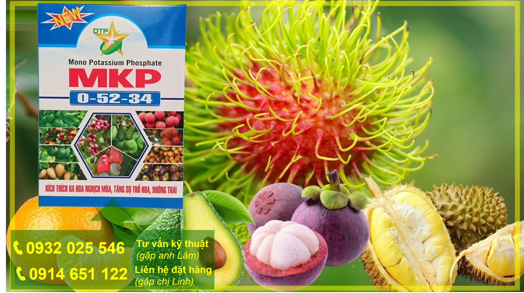 "0 52 34" LÀ PHÂN MKP 0 52 34: DINH DƯỠNG CHO CÂY TRỒNG – daithinhphat