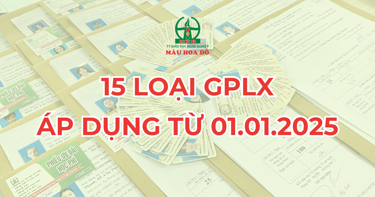 PHÂN HẠNG GPLX THEO LUẬT MỚI ÁP DỤNG TỪ 01/01/2025 – Trung tâm đào tạo ...