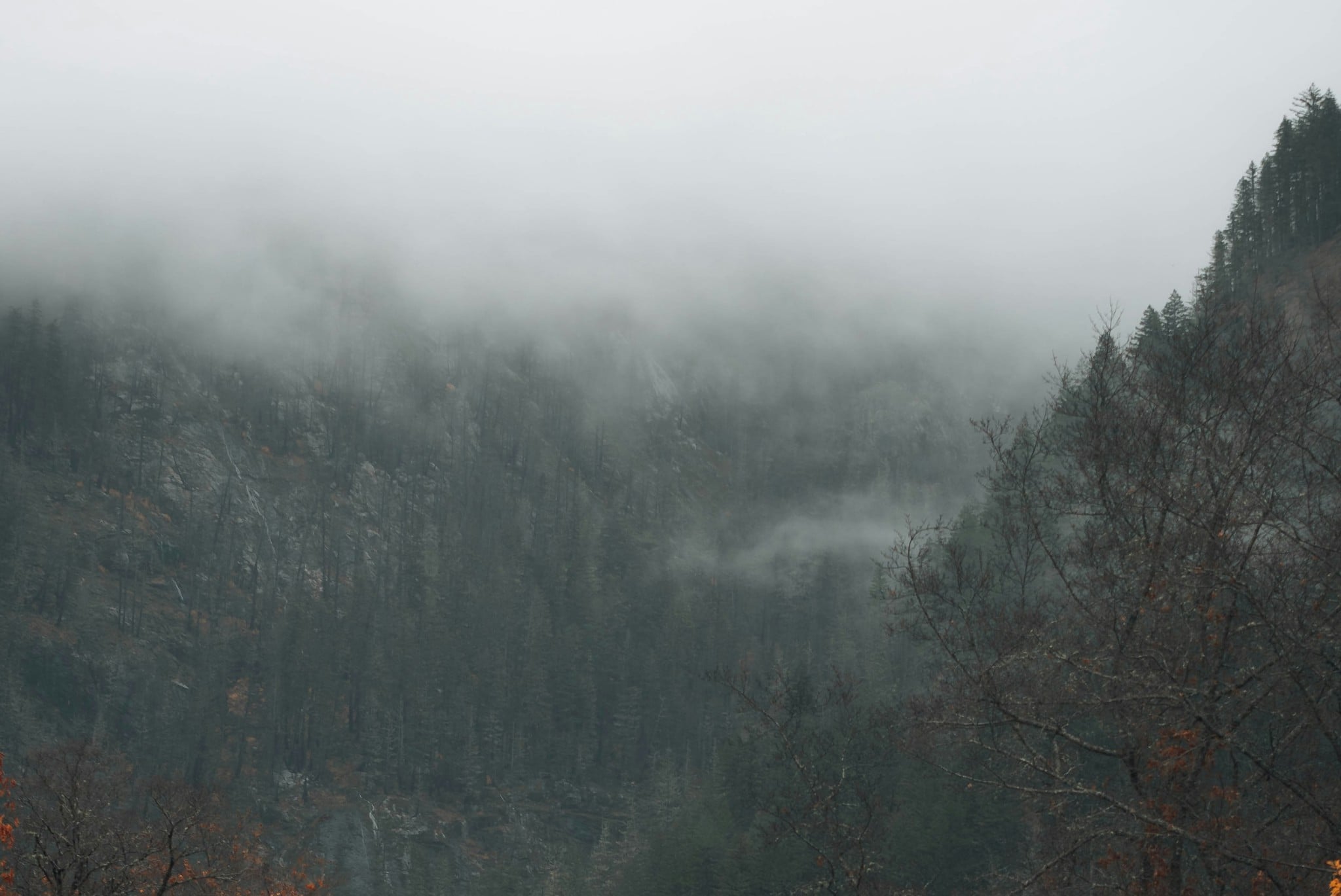 Tranh phong cảnh – Tranh trang trí Borgu Art