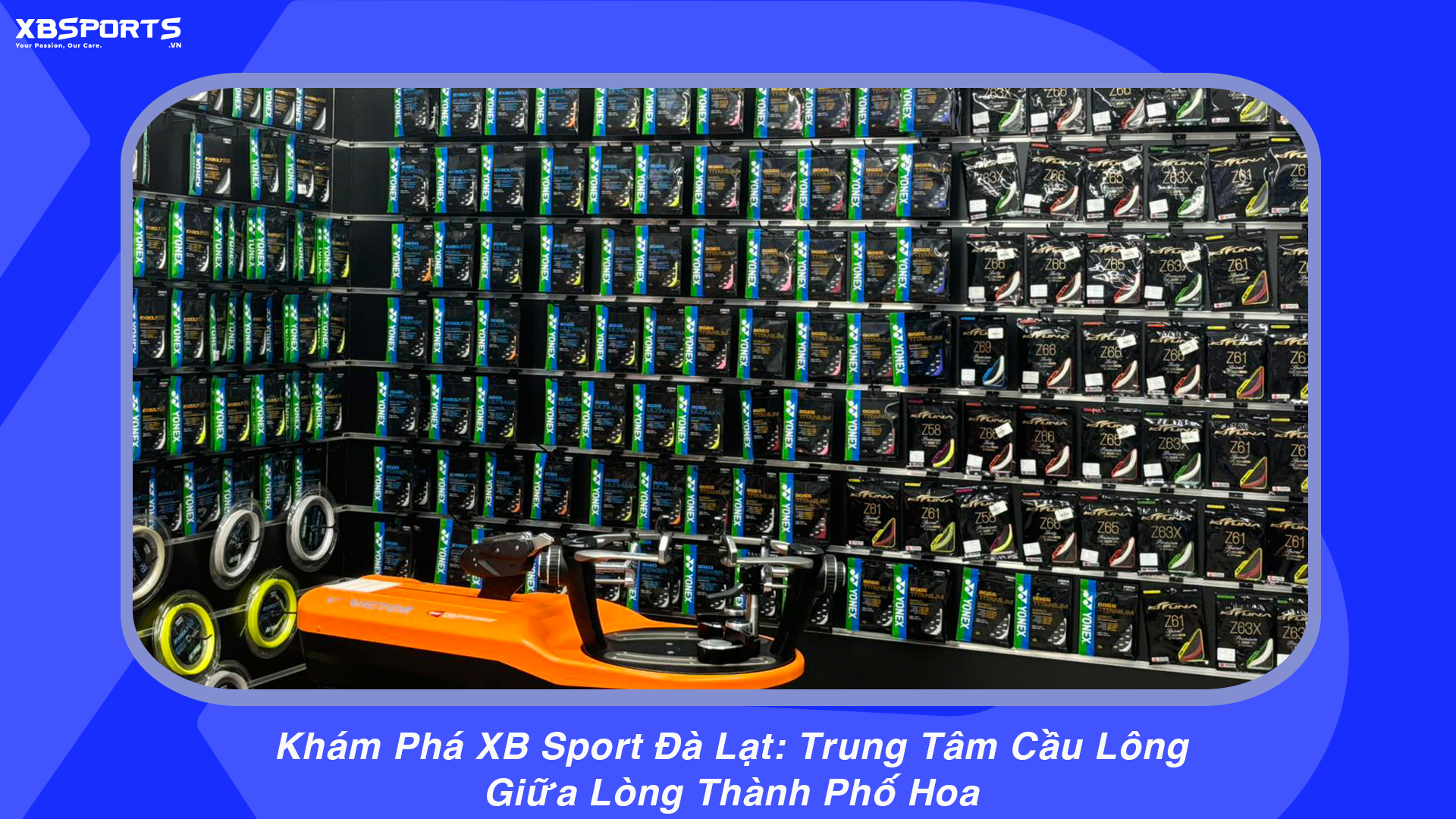 Khám Phá XB Sport Đà Lạt: Trung Tâm Cầu Lông Giữa Lòng Thành Phố Hoa - XBSPORTS - HỆ THỐNG CỬA ...