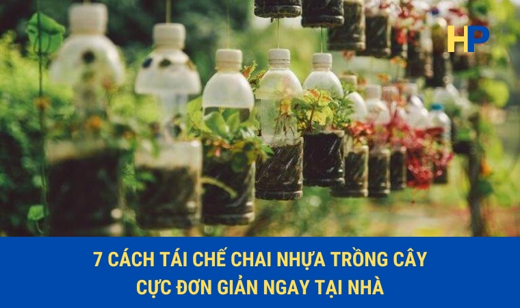 7 Cách tái chế chai nhựa trồng cây tiện lợi, đơn giản | Hồng Phát ...