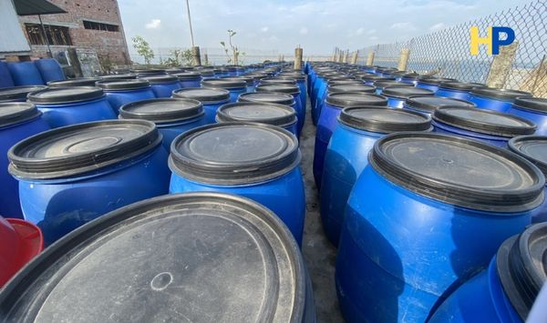 Hướng dẫn cách tái sử dụng thùng phuy nhựa cũ trồng cây đơn giản – Hồng ...