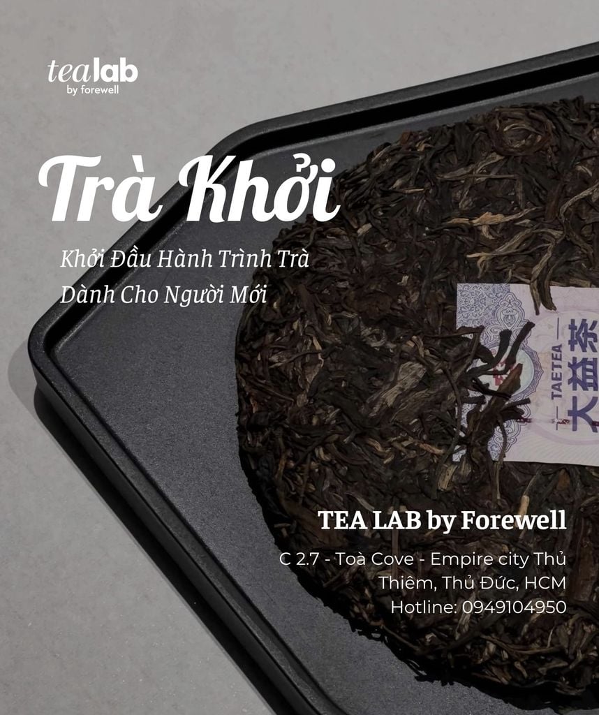TEALAB | TRÀ KHỞI - KHỞI ĐẦU HÀNH TRÌNH TRÀ DÀNH CHO NGƯỜI MỚI – BE HERE NOW