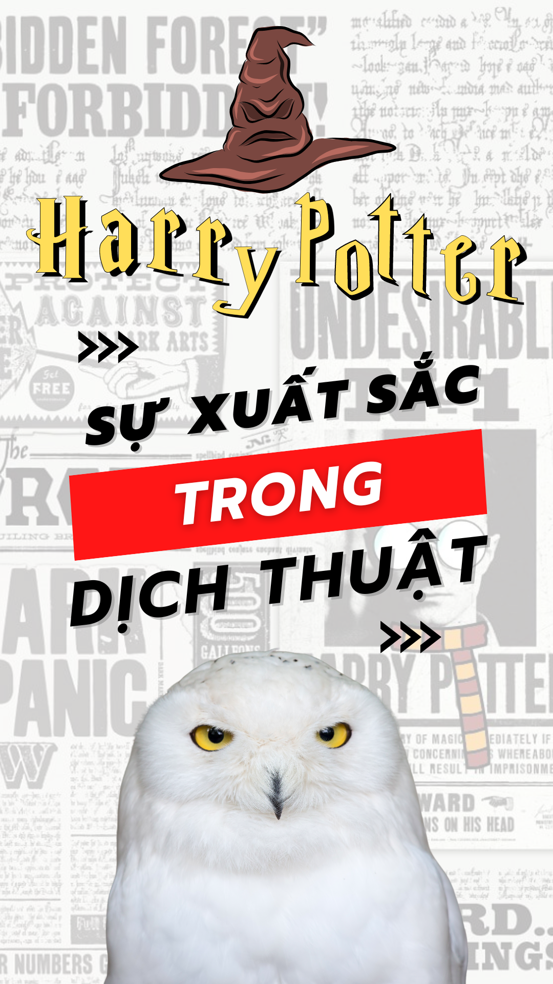 Harry Potter Và Sự Xuất Sắc Trong Văn Phong Dịch Của Lý Lan – Tia Chớp Trans