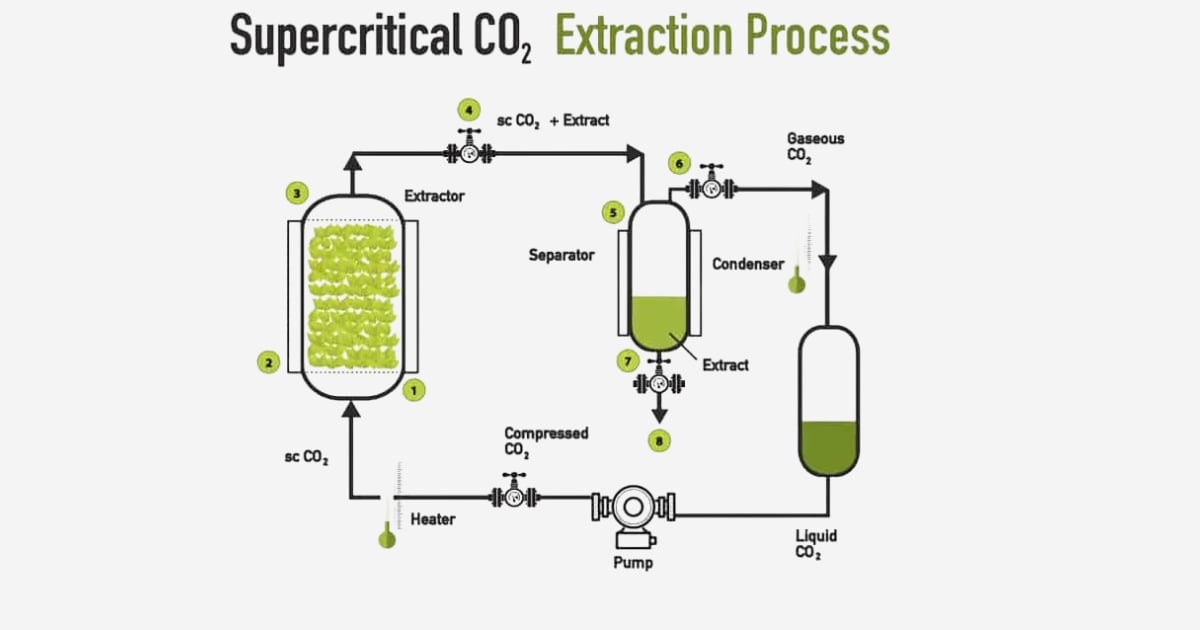CO2 extracts/Chiết xuất CO2 là gì? - Herbbank