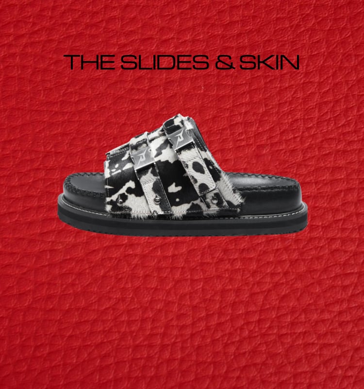 SLIDES & SKIN – ROOSTSLIDES