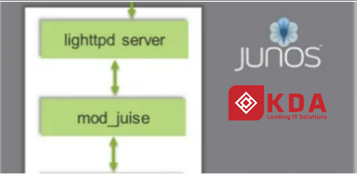 Hướng dẫn cấu hình và sử dụng REST API trên thiết bị Juniper JunOS