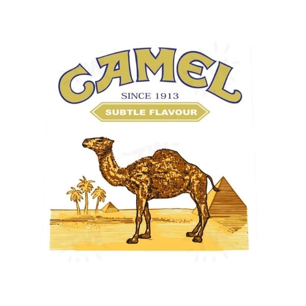 Camel