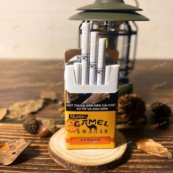 Camel 1913 Legend Yellow (Nặng)