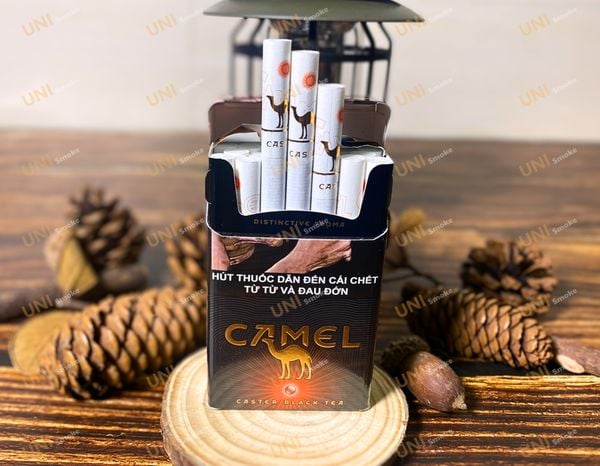 Camel Caster Black Tea Bấm Trà Đen