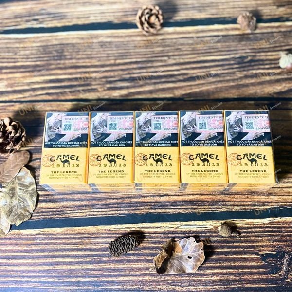 Camel 1913 Legend Yellow (Nặng)