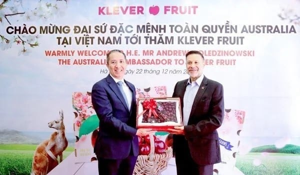KLEVER FRUIT – ĐIỂM DỪNG CHÂN CỦA NHỮNG TRÁI CÂY TOP 10% CAO CẤP HÀNG ...