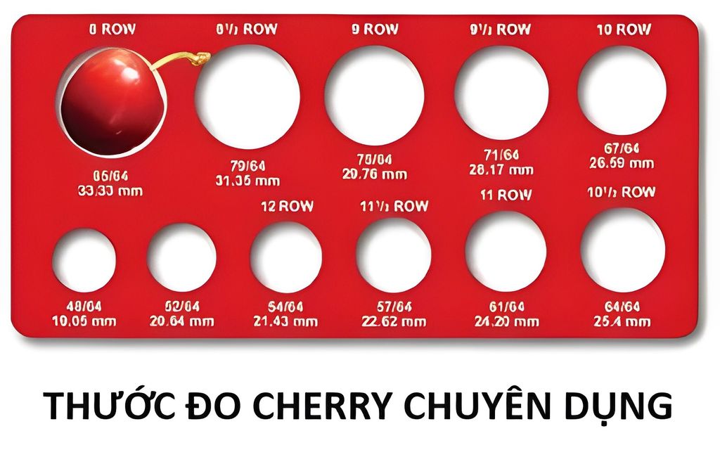 SIZE CHERRY MỸ - CÁCH TÍNH SIZE QUẢ – HG FRUIT