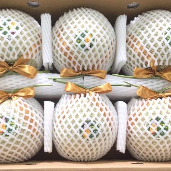 Dưa Giống Nhật Kobe Melon – Giá Sỉ Tốt Nhất Từ Hoàng Giang Fruit – HG FRUIT