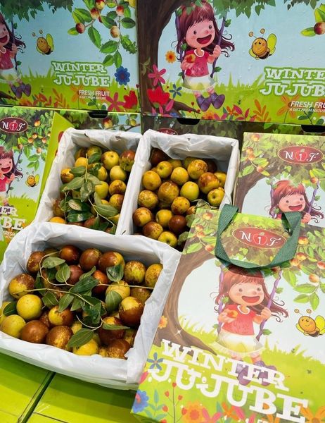 Hồng Táo Winter Jujube: Viên Vitamin Bổ Dưỡng Cho Sức Khỏe và Sắc Đẹp ...