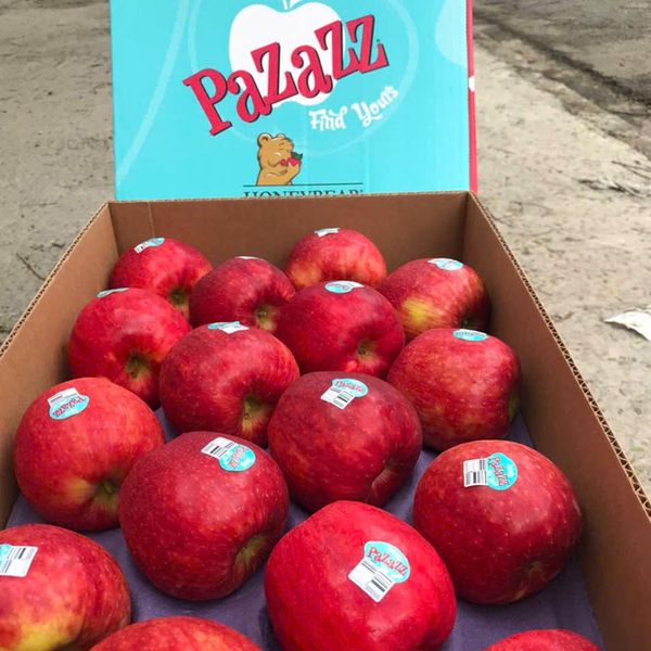 Táo Pazazz Mỹ tại Hoàng Giang Fruit – HG FRUIT