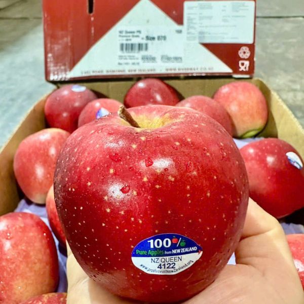 Táo Queen New Zealand – Táo Nhập Khẩu Giá Sỉ Tại Hoàng Giang Fruit – HG FRUIT