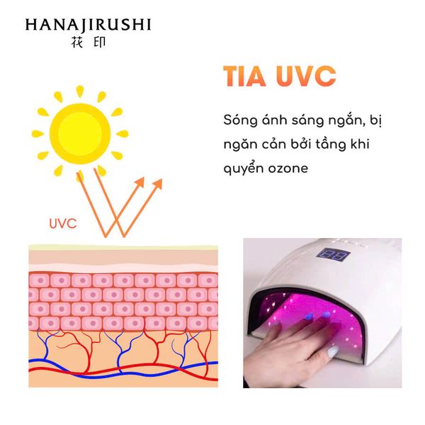 Tia UV là gì? Phân biệt các loại tia UVA, UVB và UVC – HANAJIRUSHI