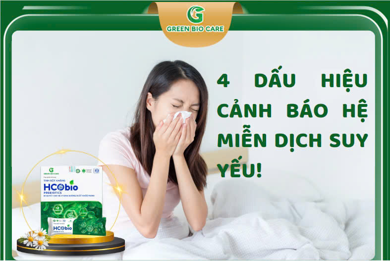 4 Dấu hiệu cảnh báo hệ miễn dịch suy yếu! – GREEN BIO CARE