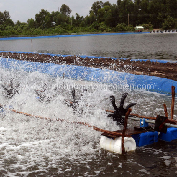 Motor Hộp Số Dùng Trong Ngành Tôm – Tự động hoá nông nghiệp
