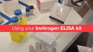 ELISA Kits