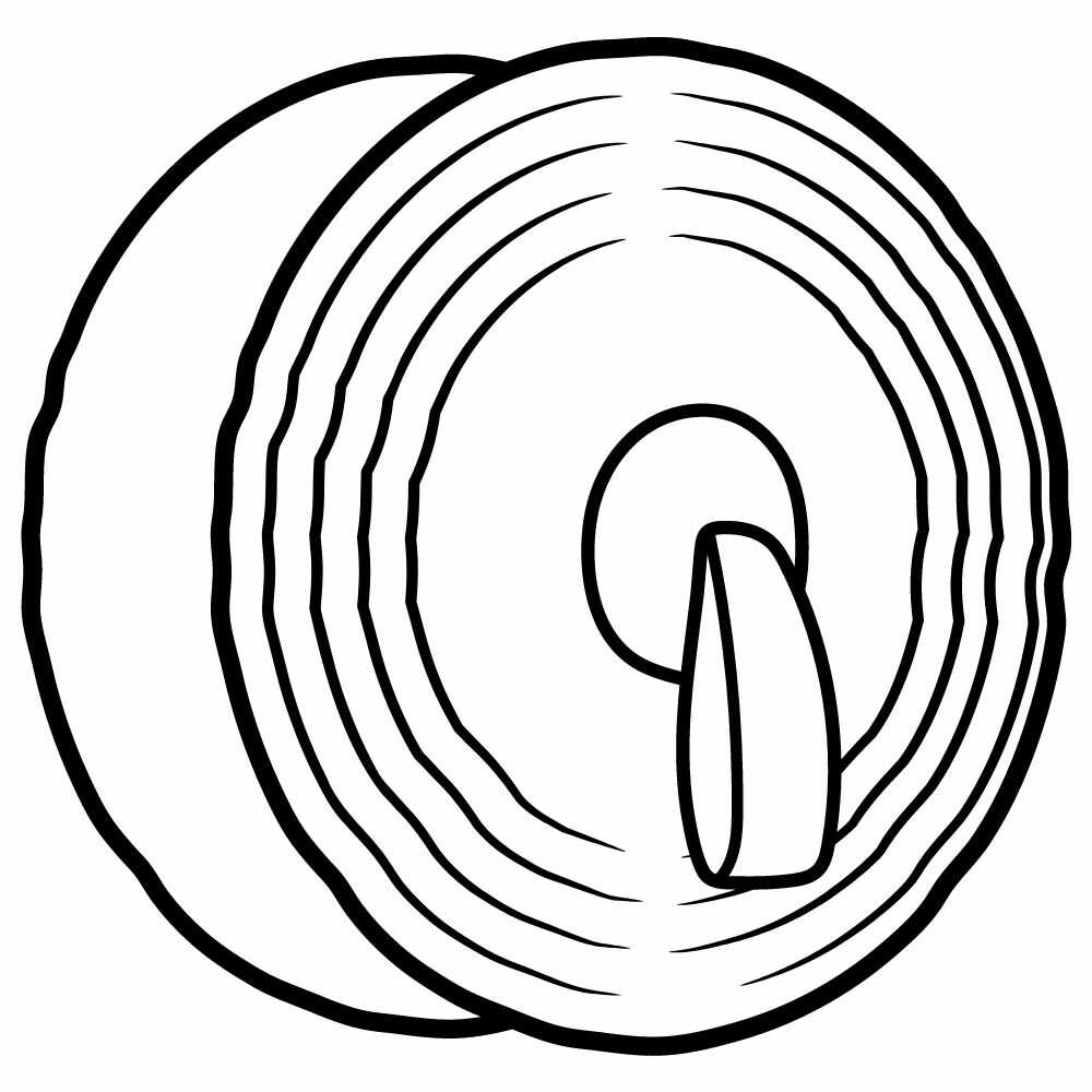 Cymbals – Nhạc Cụ Tất Thắng