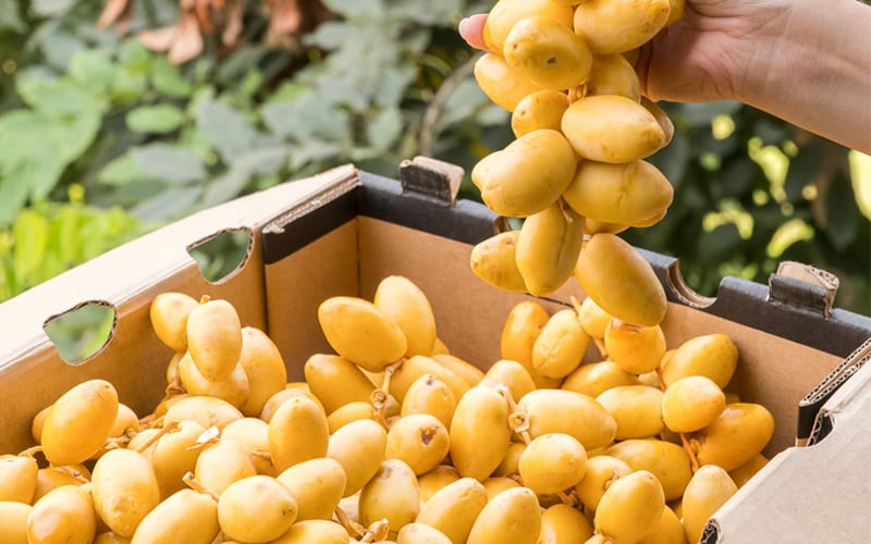 ĂN CHÀ LÀ CÓ TỐT KHÔNG? – BeryBee