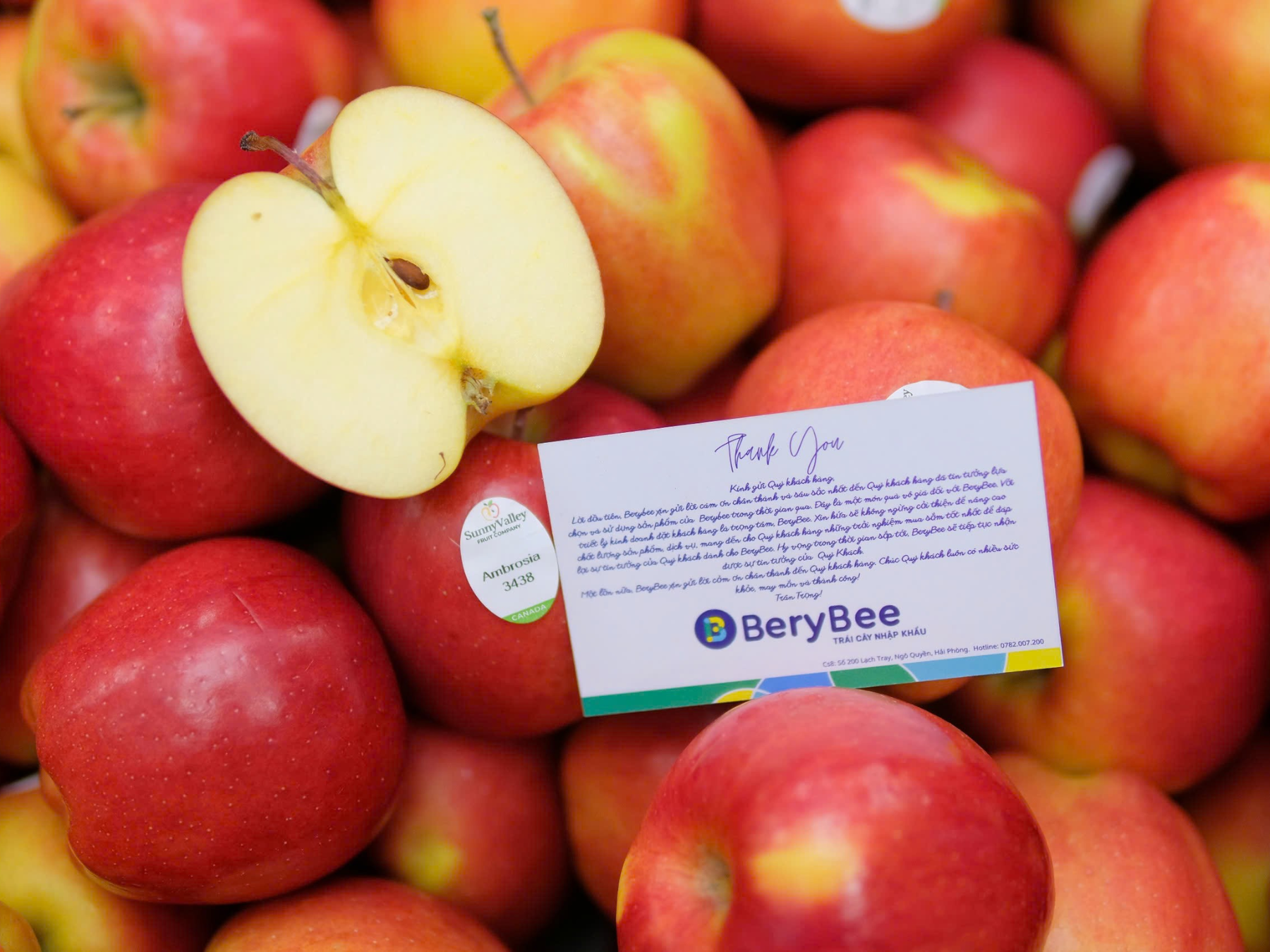 Độc tố có trong hạt táo - Mốii nguy hiểm mà bạn cần biết – BeryBee