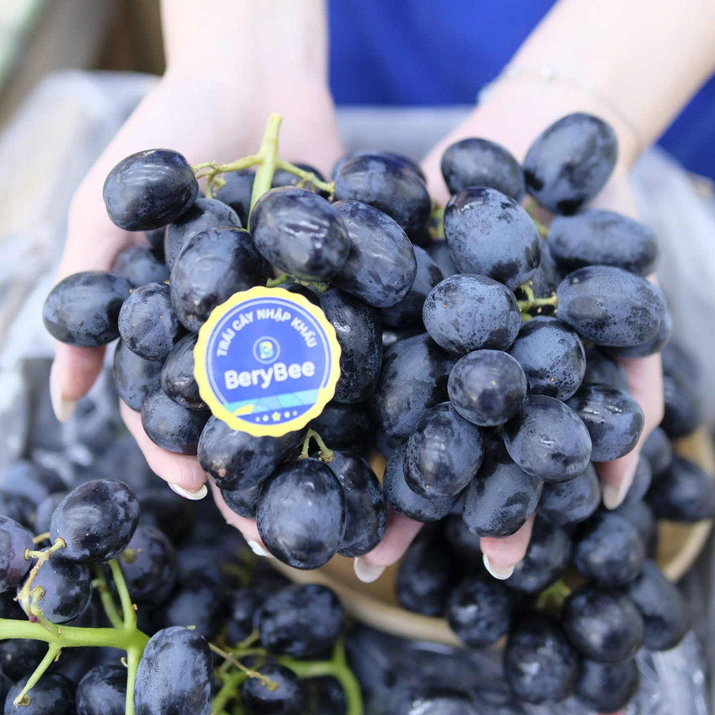 LỢI ÍCH CỦA NHO ĐEN? – BeryBee