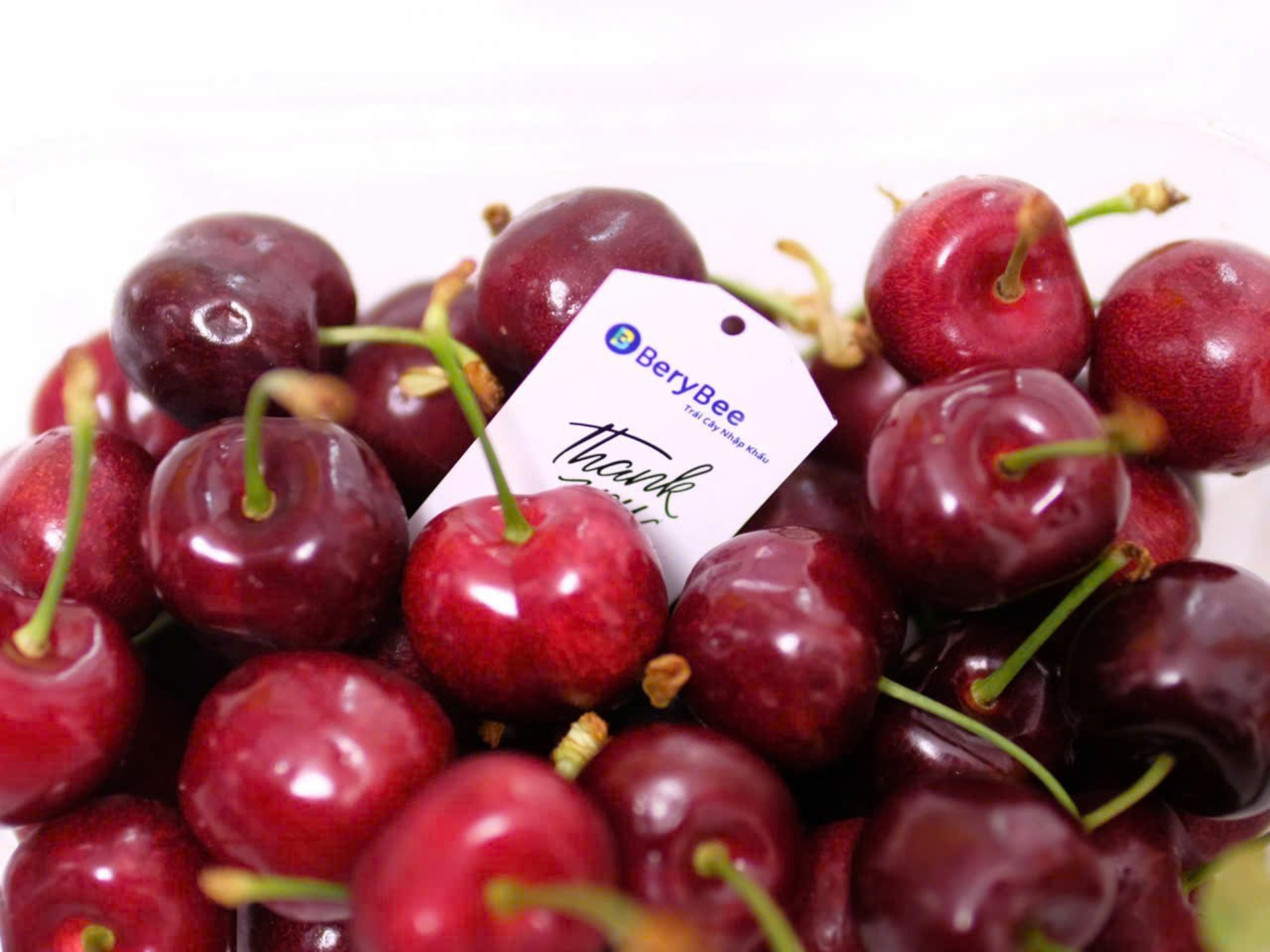 TẠI SAO CHERRY LẠI ĐẮT? – BeryBee