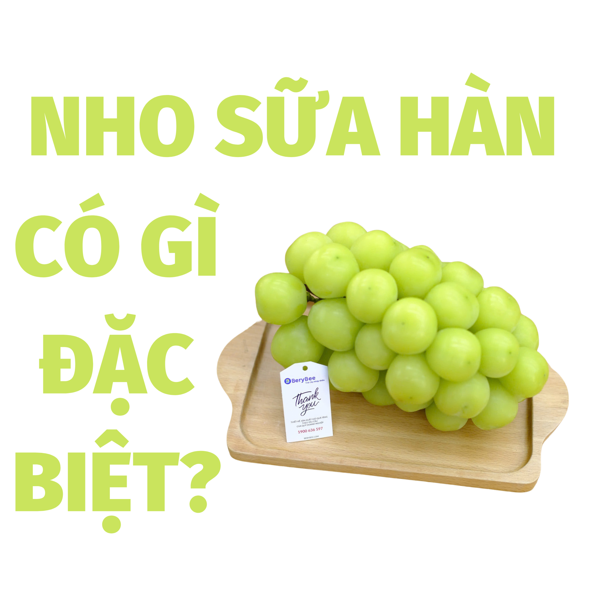 NHO SỮA HÀN QUỐC CÓ GÌ ĐẶC BIỆT? – BeryBee