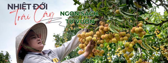 BeryBee|Chuỗi Trái Cây Nhập & Giỏ Quà Tặng Doanh Nghiệp