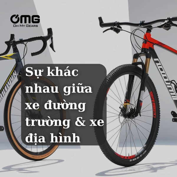 Sự khác biệt giữa xe đạp đường trường (Road) và xe đạp địa hình (MTB)