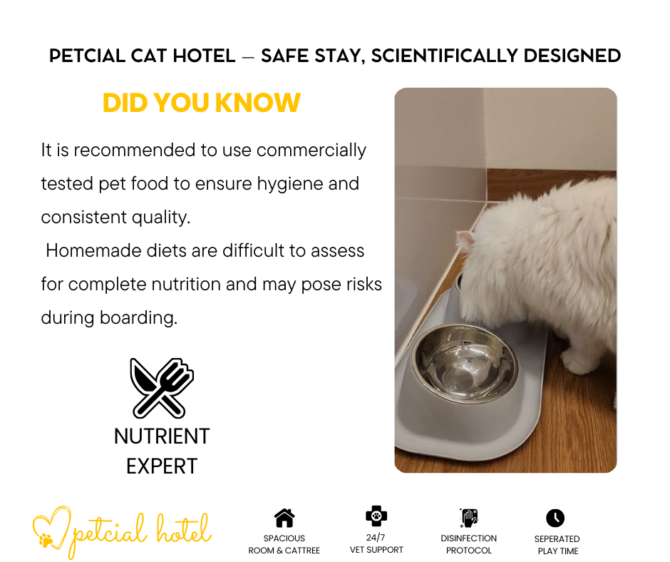 Understanding the BCS Scale – PETCIAL Pet Grooming & Cat Hotel